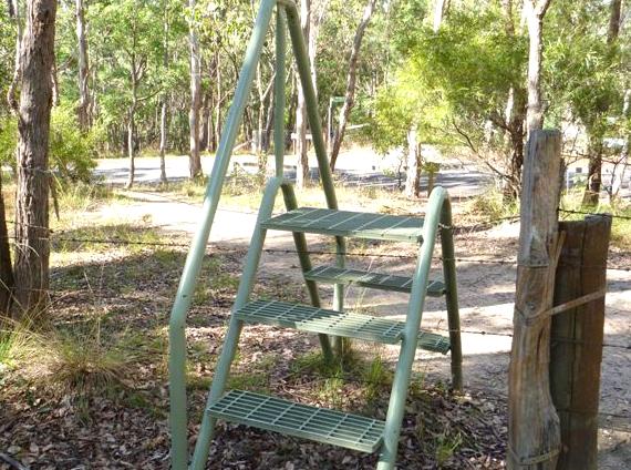 Discover the Serenity of Cox's River Campsite: A Perfect Outdoor Escape ...